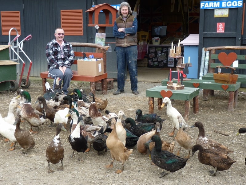 Ducks For Sale Wishing Wells Farm Traditional Farm Shop Ducks For Sale Wishing Wells Farm Traditional Farm Shop